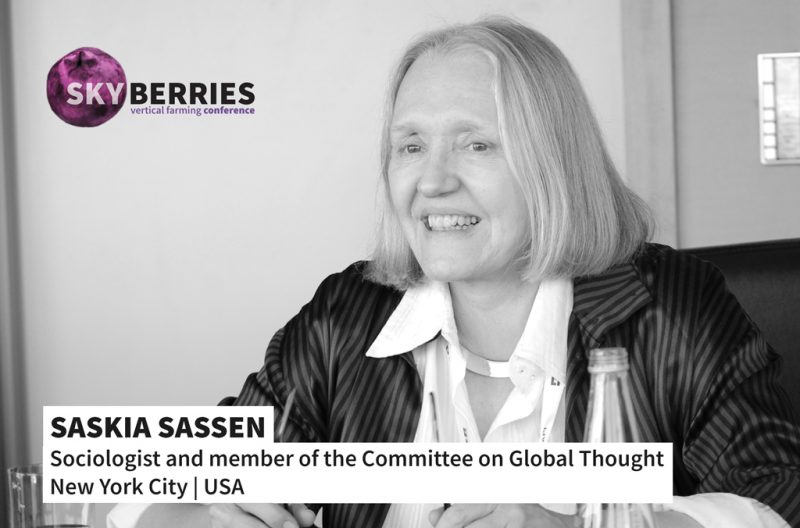 Saskia Sassen – SKYBERRIES